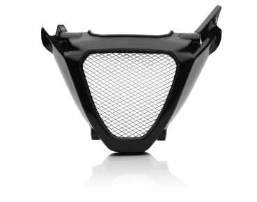 WSC-Neuss Onlineshop - Carbon radiator guard Aprilia RS660